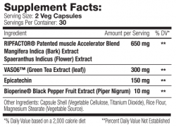 Muscle Plex - Muscle Addiction