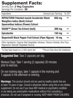 Muscle Plex - Muscle Addiction